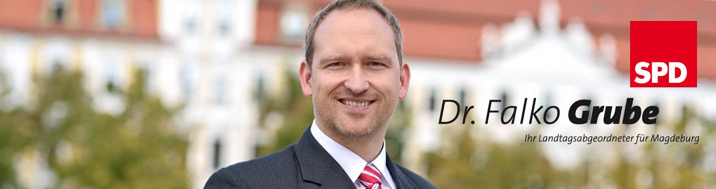 Hol- und Bringezonen vor den Schulen › Dr. Falko Grube